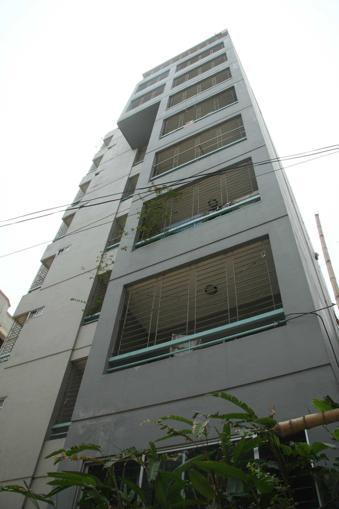 Dom-inno Floret - Profile Ltd